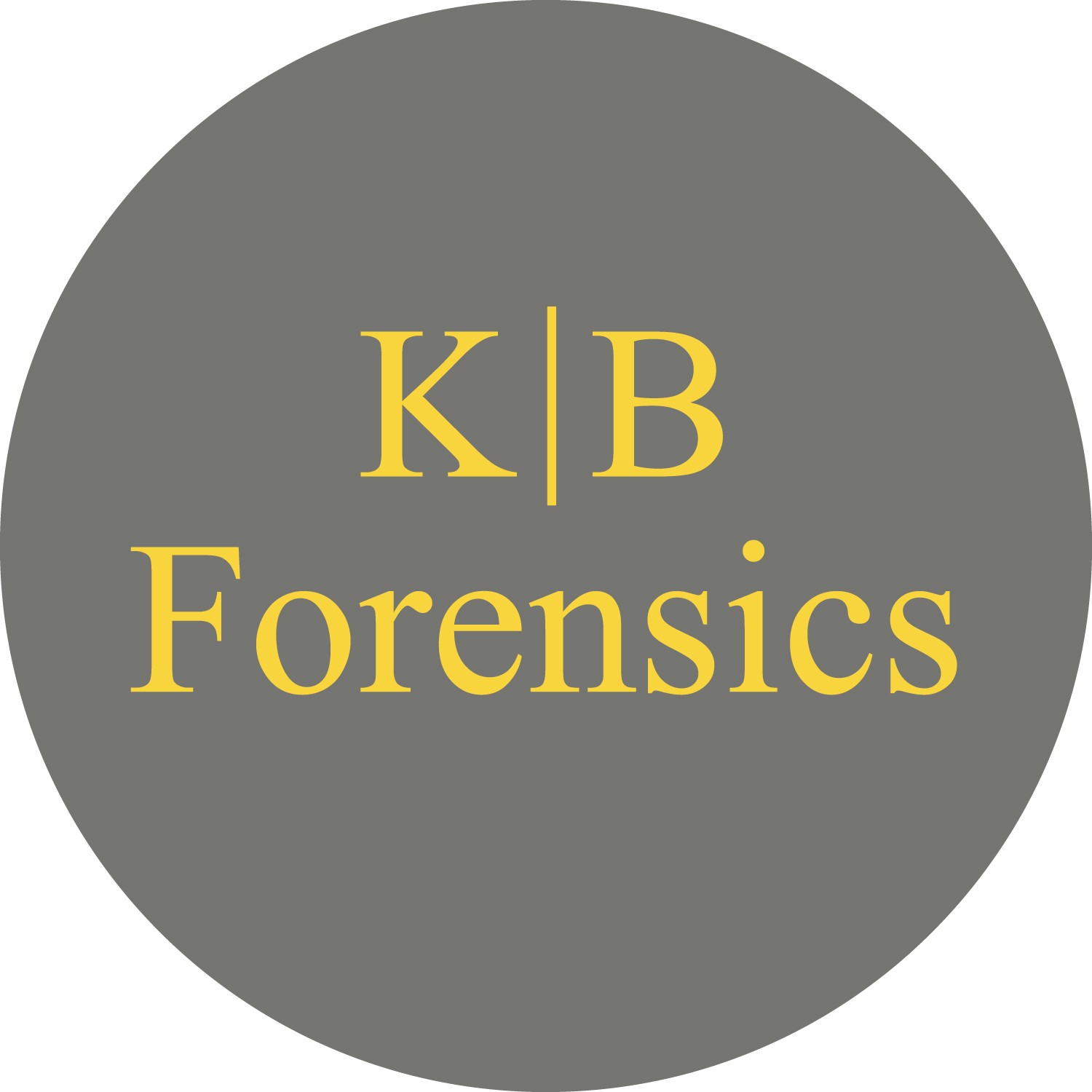 Services – KB Forensics